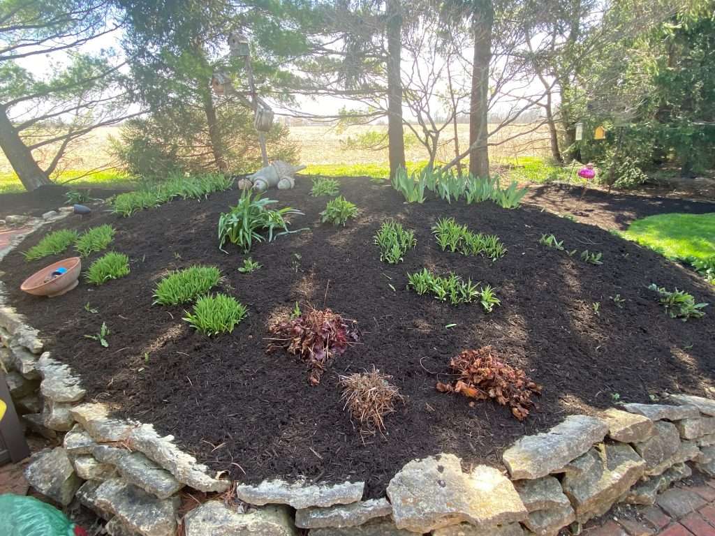 Premium Dyed Mulch - Musselman Landscaping | Indianapolis Mulch Delivery